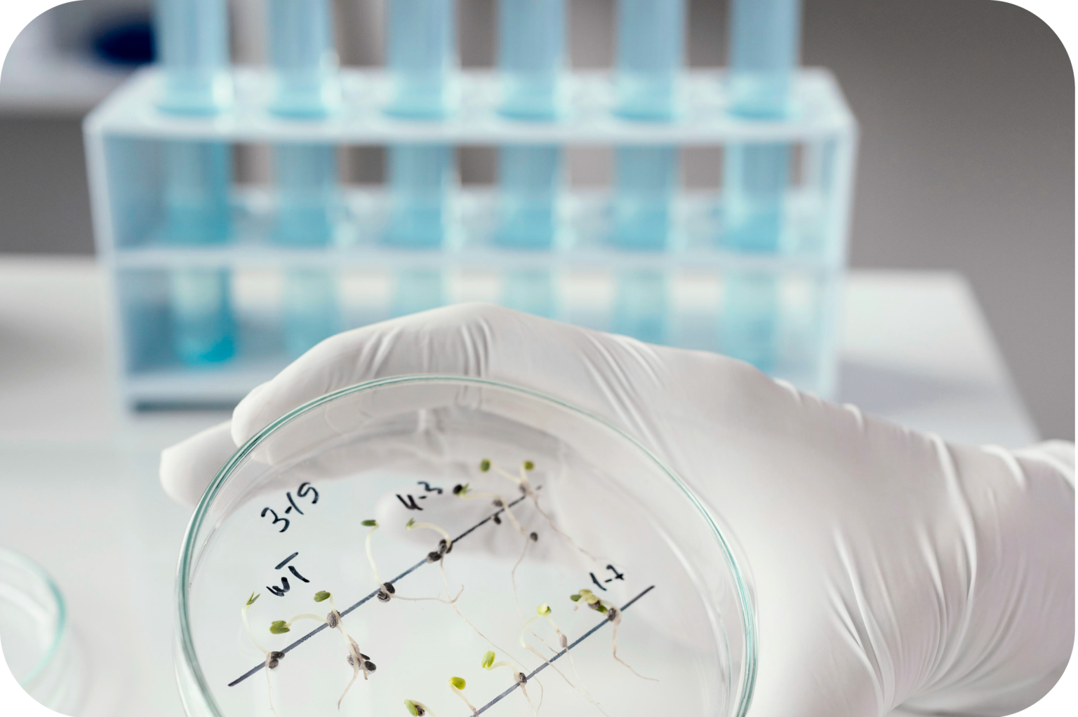 BioGenetics – BioGenetics